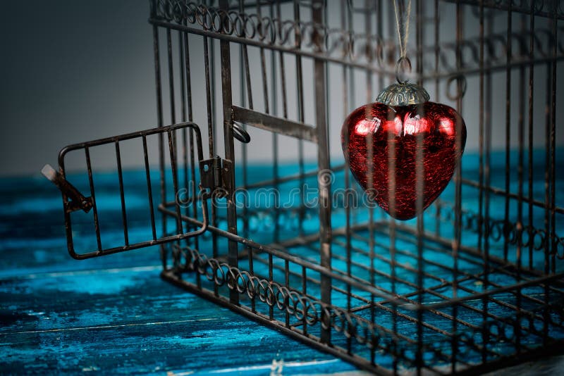 Heart in Cage stock photo. Image of snared, ensnared - 44905510