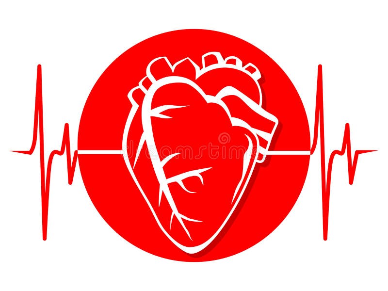 Cardiology Cardiogram Heart Beat Information Icon, Vector Conceptual ... Cardiology Cardiogram Heart Beat Information Icon, Vector Conceptual ...