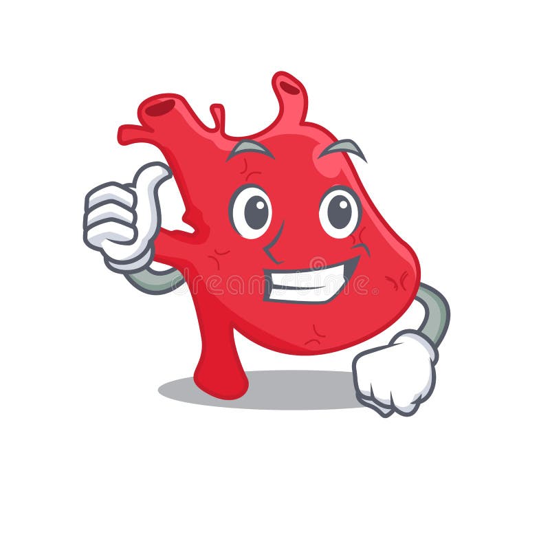 Heart Cartoon Character Design Making OK Gesture Stock Vector ...