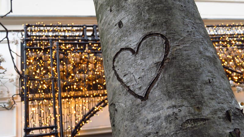 Heart Carved into Tree with Lights in the Background Stock Photo ...