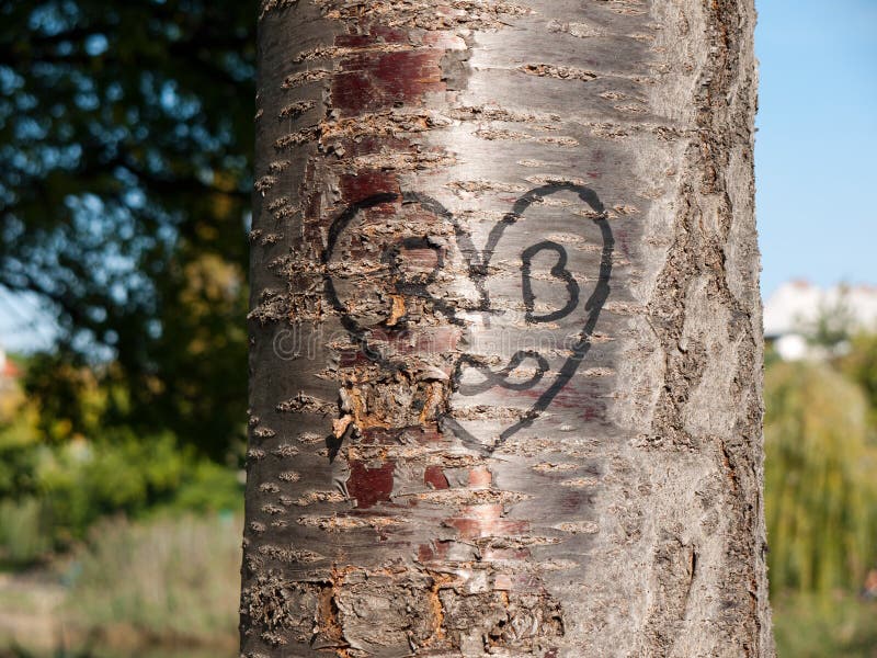 Heart carved into a tree stock image. Image of grass - 45509767