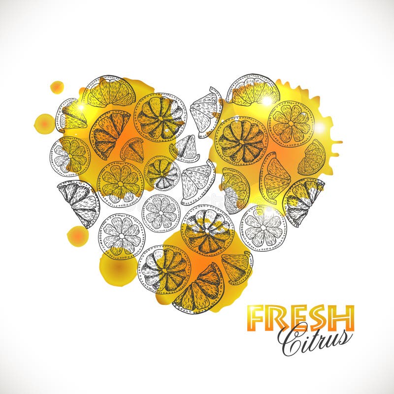 Heart of citrus stock illustration. Illustration of group - 49379404