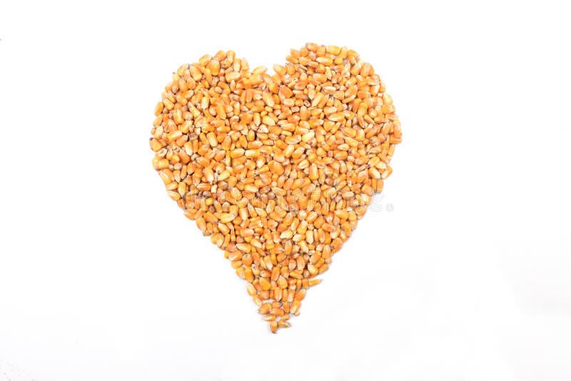 Heart of corn cobs stock image. Image of organic, healthy - 14036999