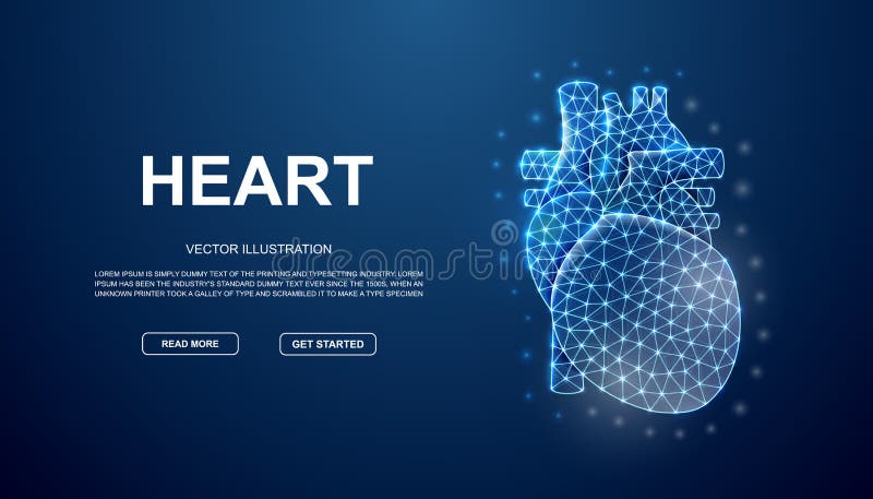 Cardiology Human Heart Icon, Cartoon Style Stock Vector - Illustration ... Cardiology Human Heart Icon, Cartoon Style Stock Vector - Illustration ...