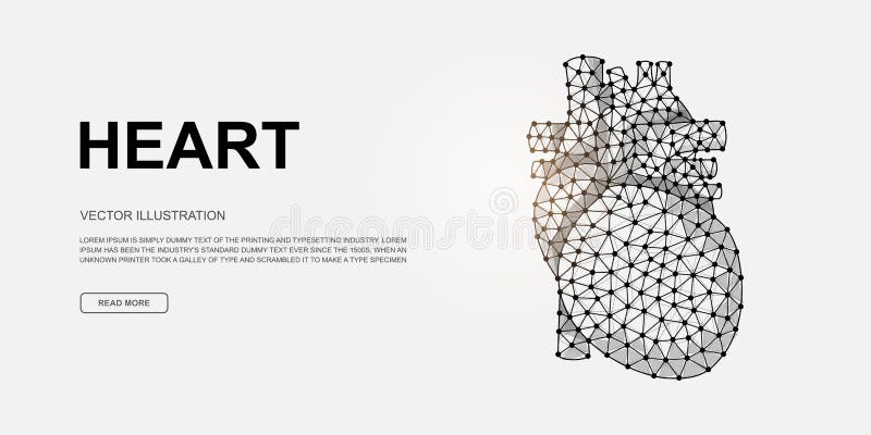 Cardiology Human Heart Icon, Cartoon Style Stock Vector - Illustration ... Cardiology Human Heart Icon, Cartoon Style Stock Vector - Illustration ...