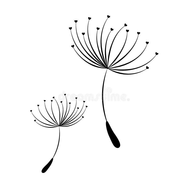 Heart dandelion / Eps stock vector. Illustration of black - 268398802