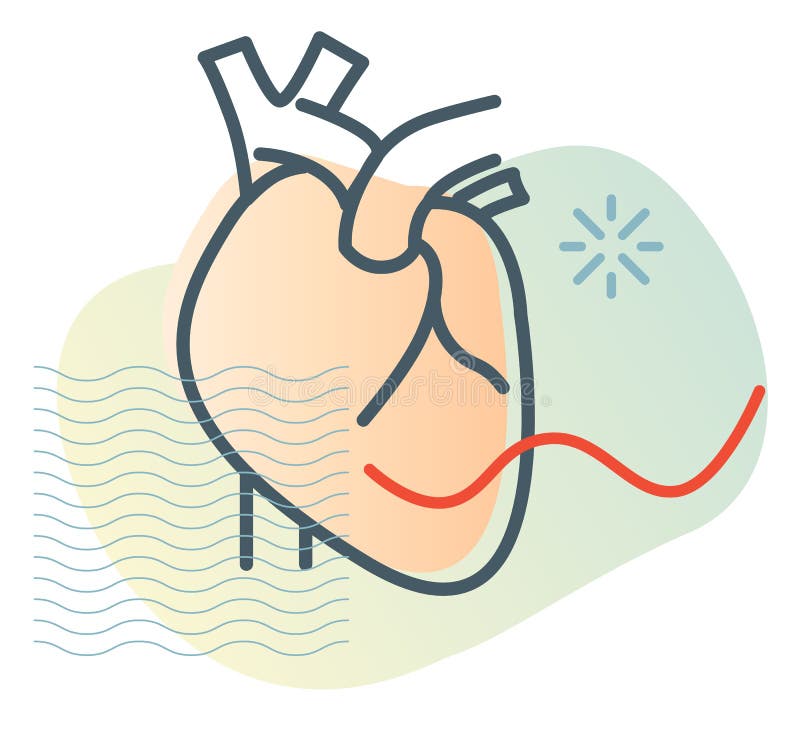 Human Heart with Chambers Icon Stock Illustration - Illustration of ...