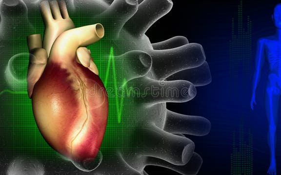 Heart with Eco Cardio Gram Pulse Stock Illustration - Illustration of ...