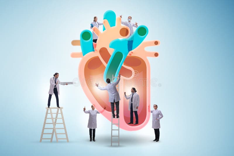 The Heart Examination by Team of Doctors Stock Image - Image of ...