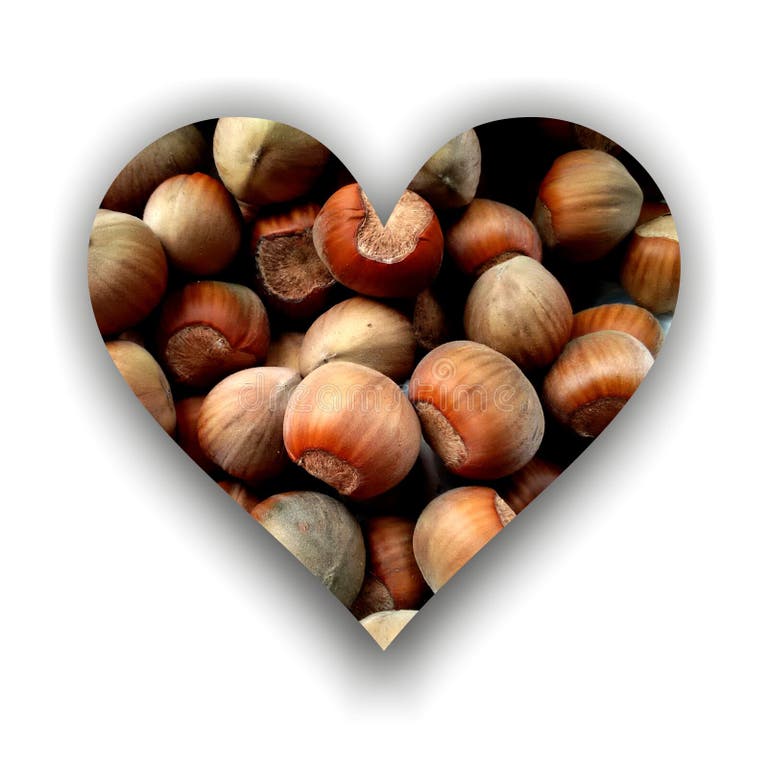 Heart Filled with Hazelnuts Stock Illustration - Illustration of gift ...