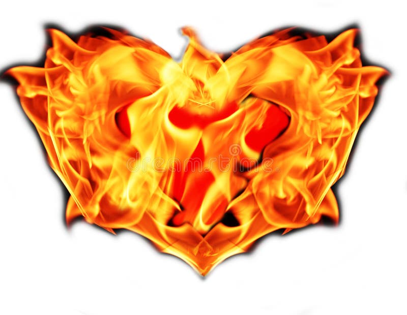 Heart on fire stock image. Image of flame, ornate, ideas - 29272613