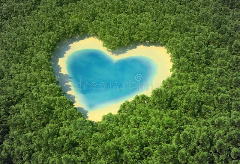 Heart in the forest stock illustration. Illustration of foliage - 8882265