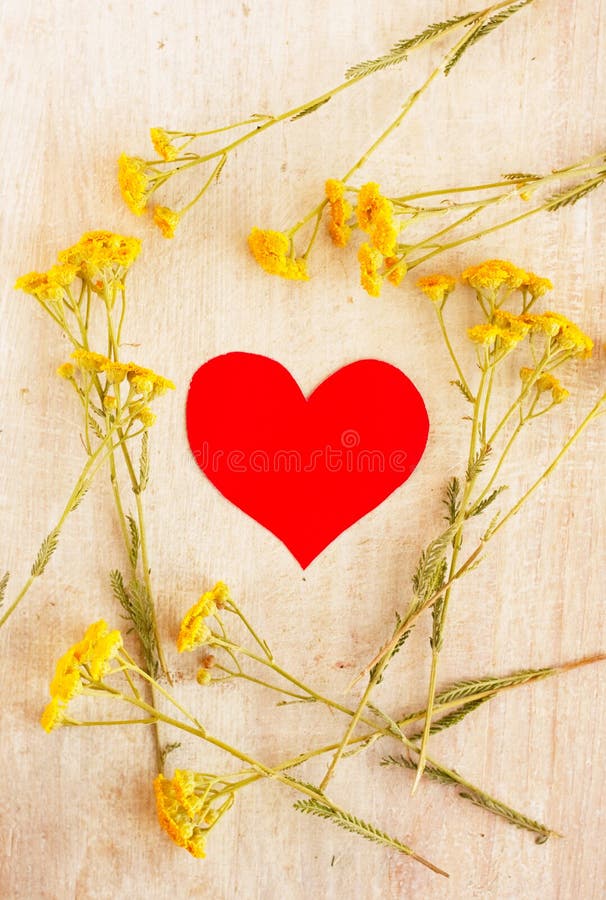 Heart in the Frame of Wild Flowers Stock Image - Image of love, flora ...