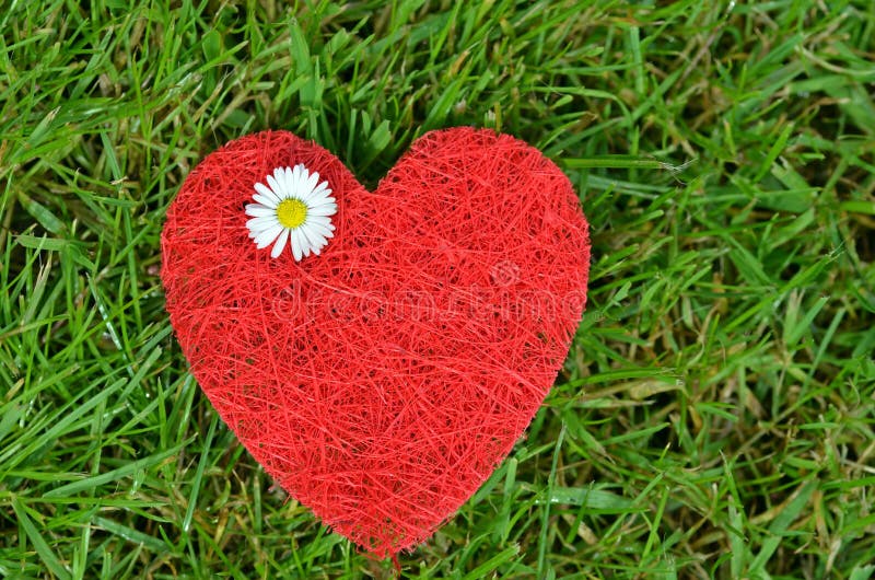 Heart on the grass stock photo. Image of heart, detail - 28059418