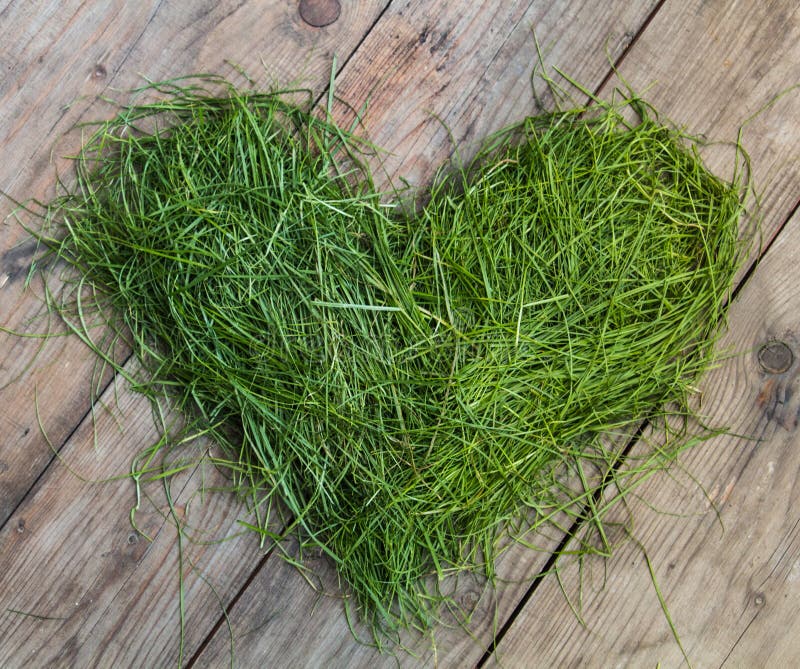 Heart-shaped Blades of Green Grass Stock Photo - Image of green, heart ...