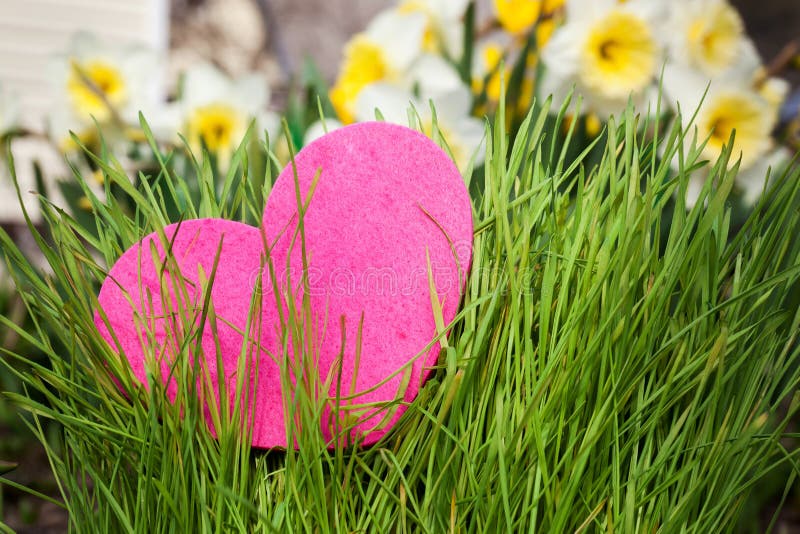 Heart Growing in Green Grass Stock Image - Image of decoration ...