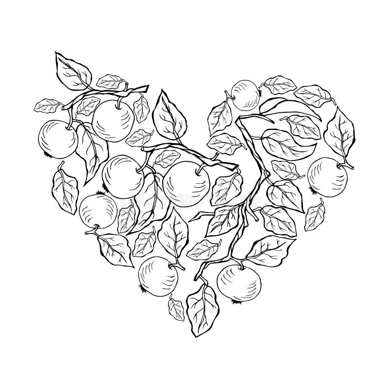 Heart of apples stock illustration. Illustration of apound - 83408543