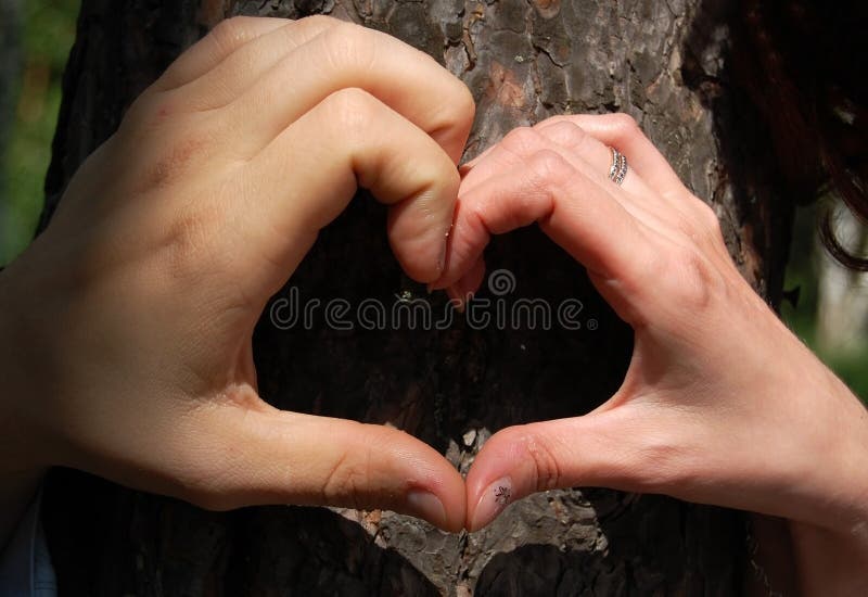 Heart from hands stock image. Image of detail, hand, form - 21100317