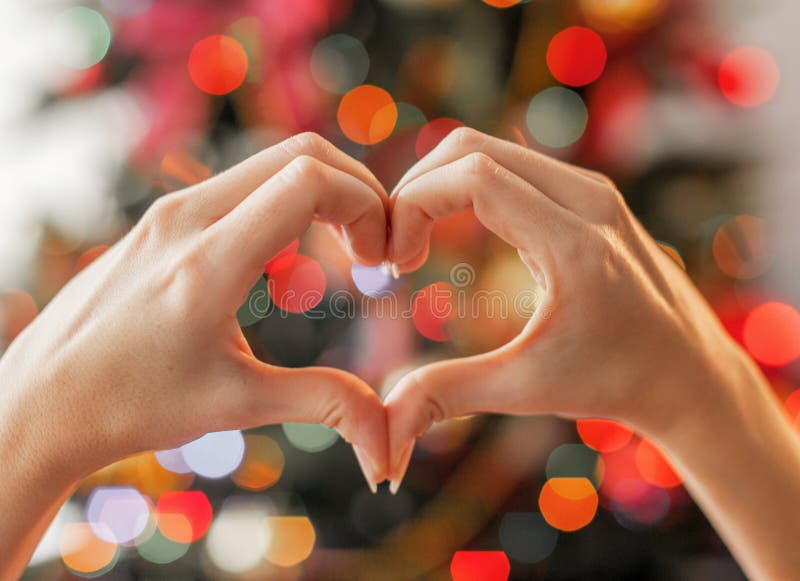 Heart from the Hands in Front of Christmas Tree Stock Photo - Image of ...