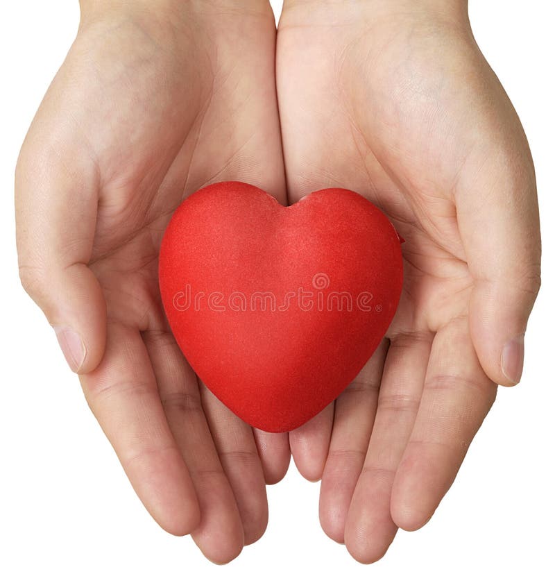 Heart in hands stock image. Image of life, heart, friend - 48199307