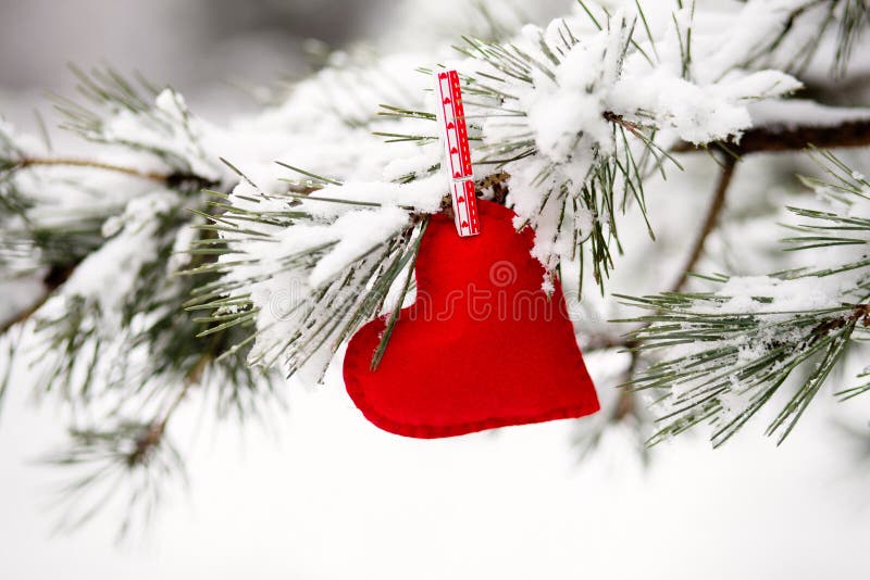Heart Hanging on a Snow-covered Pine Tree Stock Photo - Image of pine ...