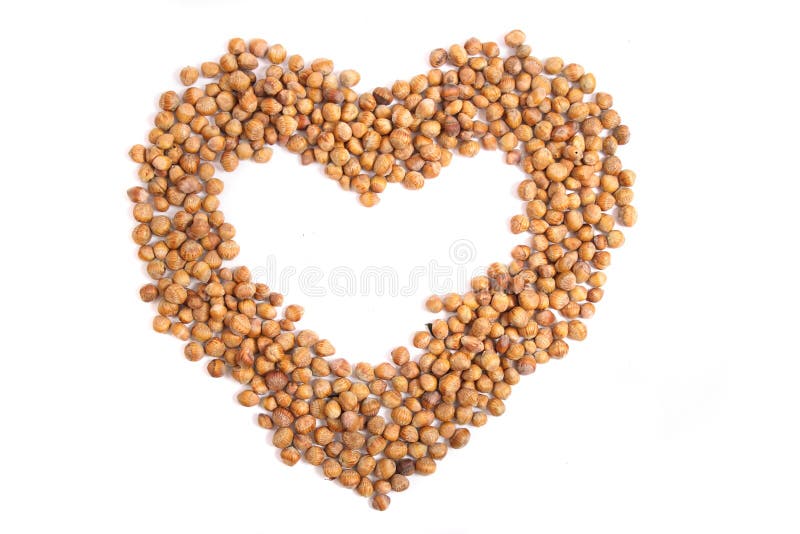 Heart from hazel nuts stock photo. Image of closeup, ingredient - 9020598