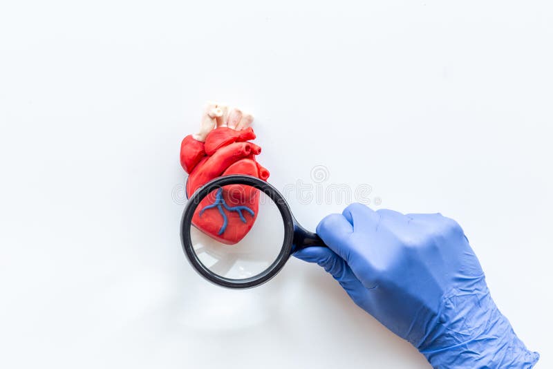 Heart Health Concept with Hands and Human Heart Model Stock Photo ...