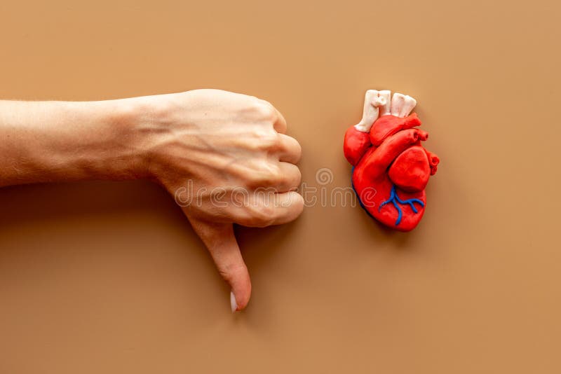 Heart Health Concept with Hands and Human Heart Model Stock Image ...
