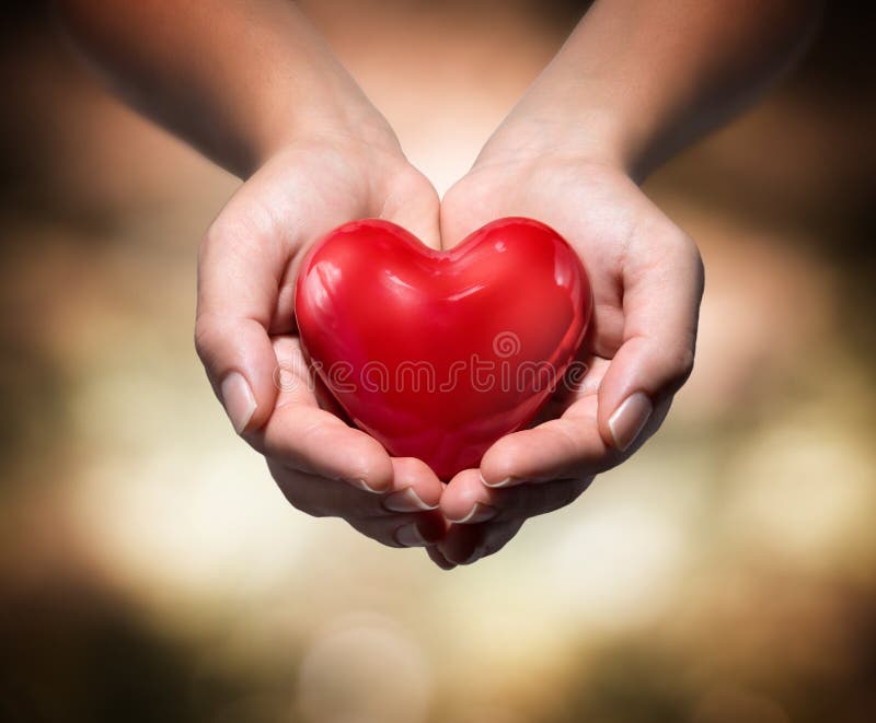 Heart in Heart Hands- Warm Background Stock Image - Image of charity ...