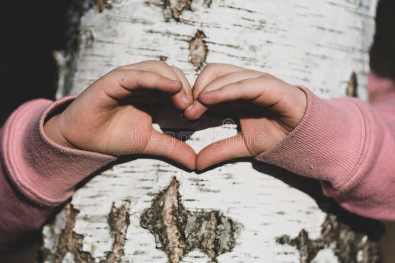 Heart stock image. Image of herat, nature, tree, love - 146646763