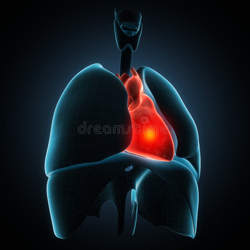 Skin Rashes Stock Illustrations – 246 Skin Rashes Stock Illustrations ...