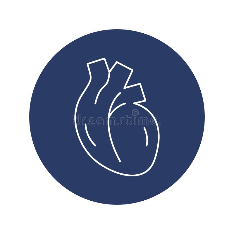 Heart, Human Body Organ, Human Heart, Anatomical Heart Icon Stock ...
