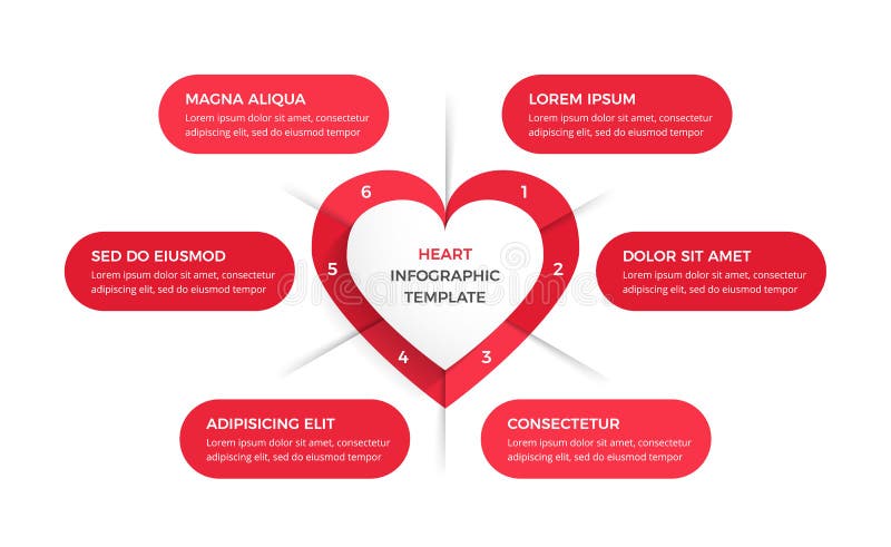 Heart Infographics stock vector. Illustration of health - 267042747