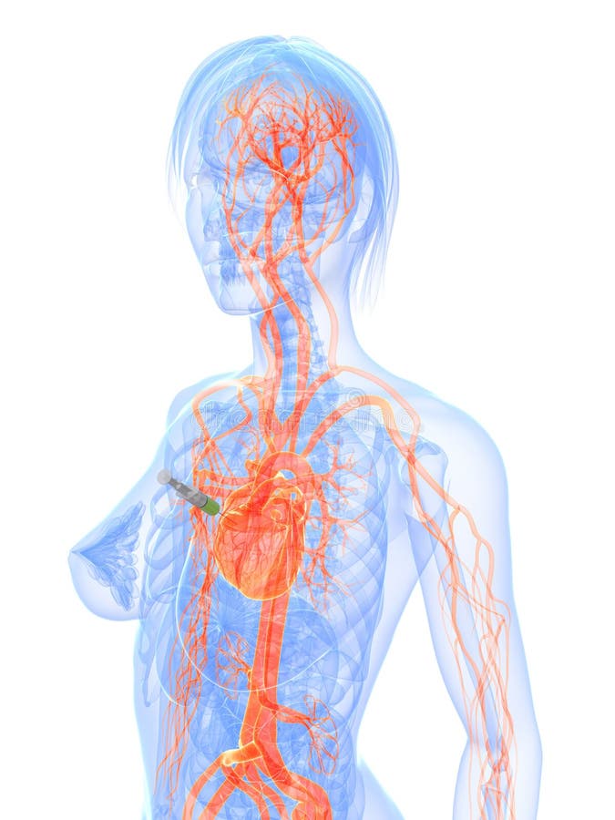 Heart injection stock illustration. Illustration of science - 14137204