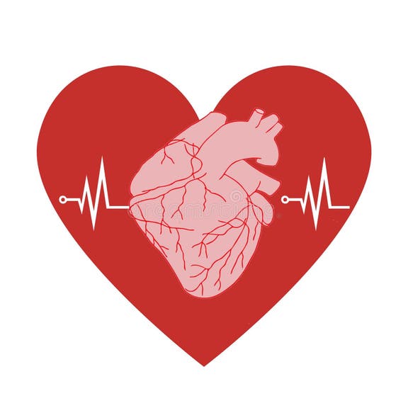 HEART INSIDE HEART SHAPE - 1 Stock Illustration - Illustration of care ...