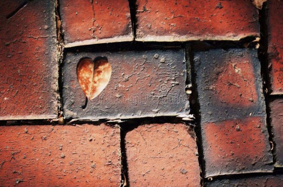 Heart Leaf on Pretty Bricks Stock Image - Image of bric, pretty: 371800501