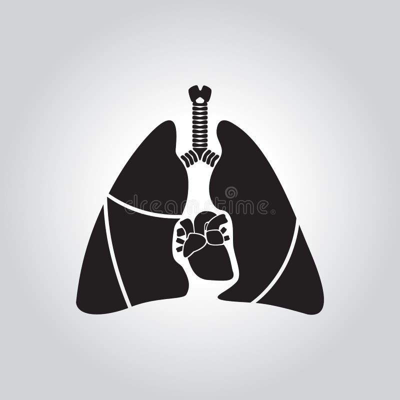 Heart and lung icon stock vector. Illustration of design - 42889104