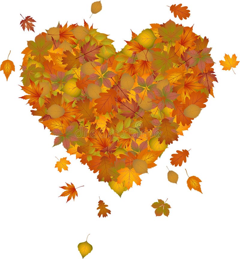 Vector Heart Made Of Autumn Leaves On White Background Stock Vector ...