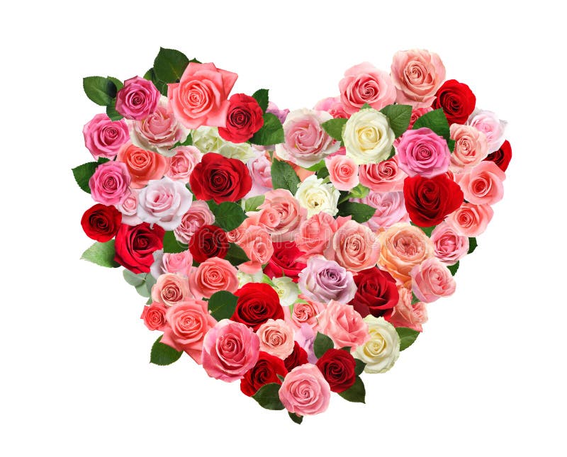 Heart Made of Beautiful Roses on White Background Stock Photo - Image ...