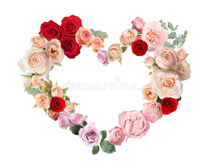 Heart Made of Beautiful Roses on White Background Stock Photo - Image ...