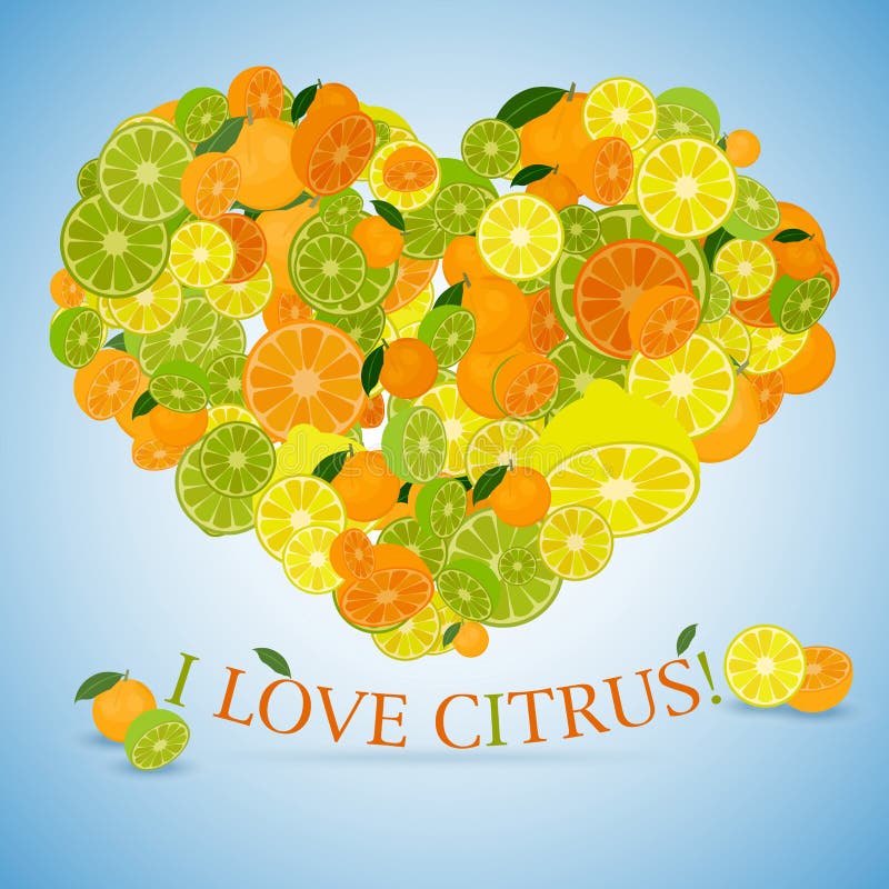 Set of Different Citrus Branches with Fruits and Leaves Stock Vector ...