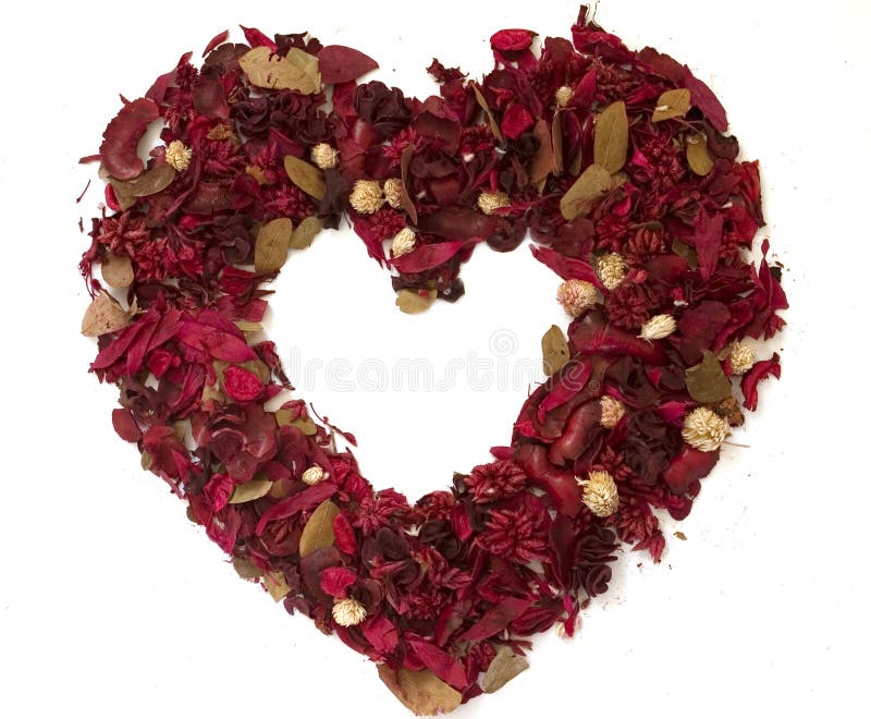 Heart Made of Dried Flowers Stock Image - Image of isolated, romantic ...