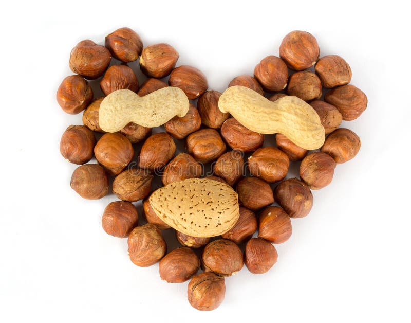 Heart made of nuts stock photo. Image of romantic, heart - 24586550