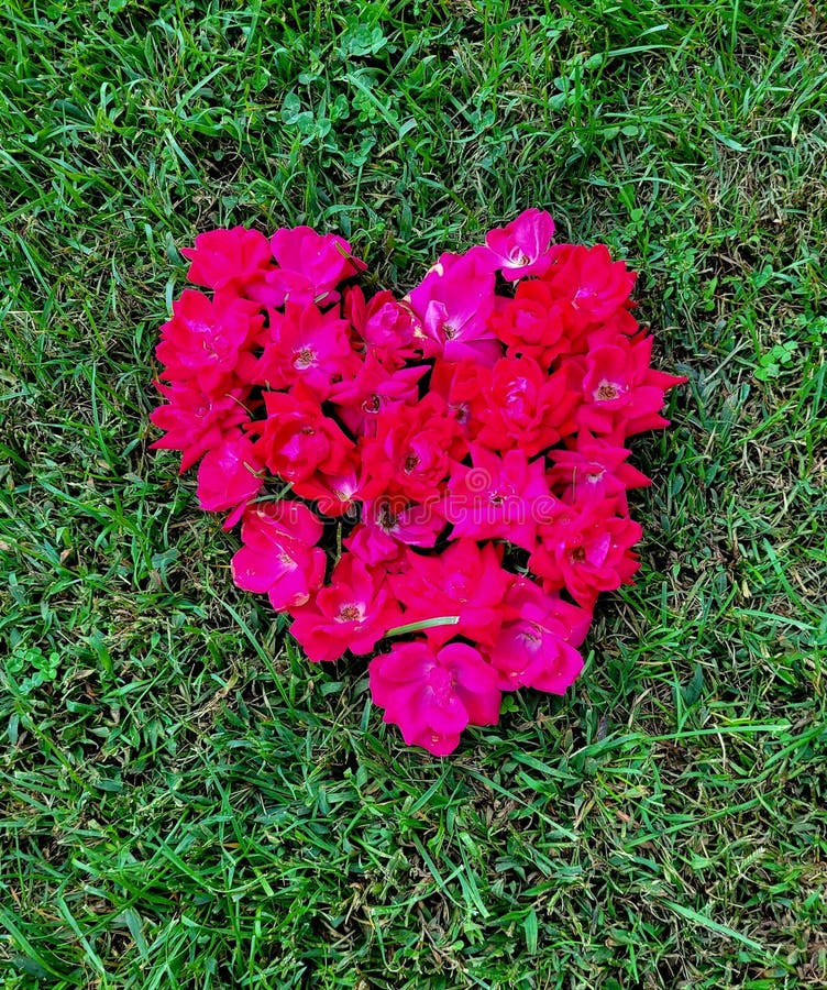 Flowered Heart stock photo. Image of nature, meadow - 306209902