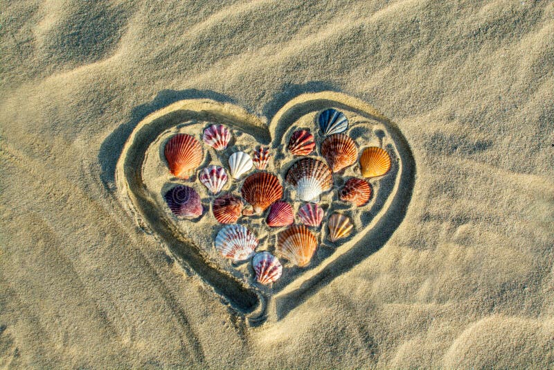 Heart Made of Sea Shells Lying on Sand Stock Photo - Image of ...