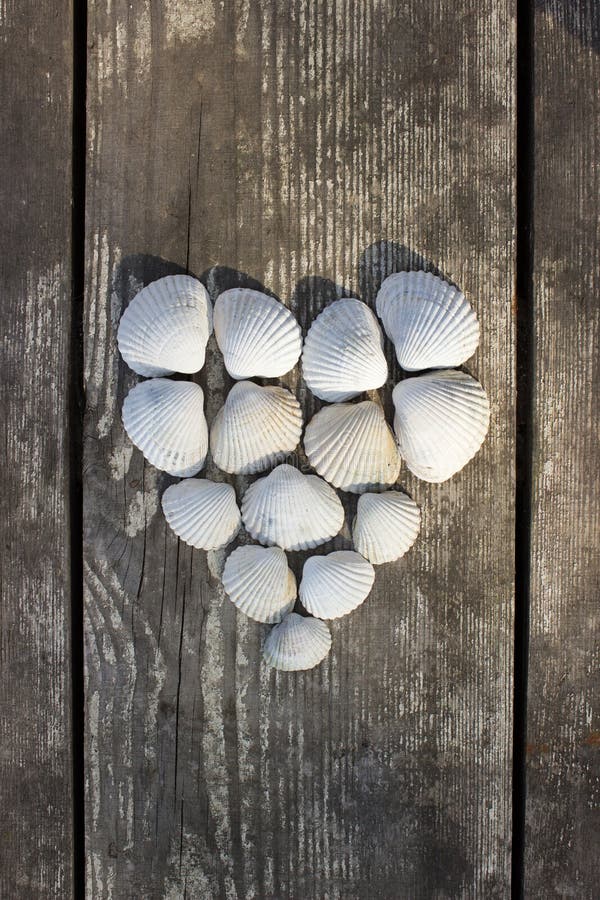 Heart made of sea shells stock image. Image of life, shape - 45419421