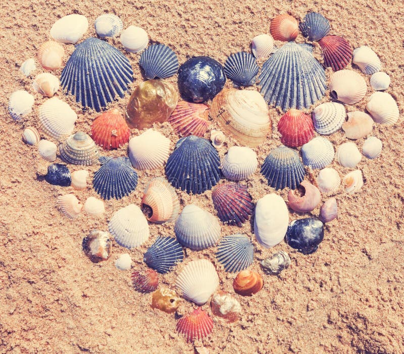 Heart Made of Seashells on the Beach Stock Photo - Image of ocean ...