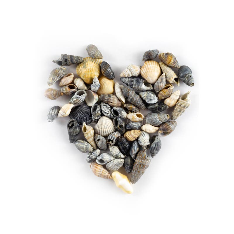 Heart Made of Shells on a White Background Isolate Stock Image - Image ...