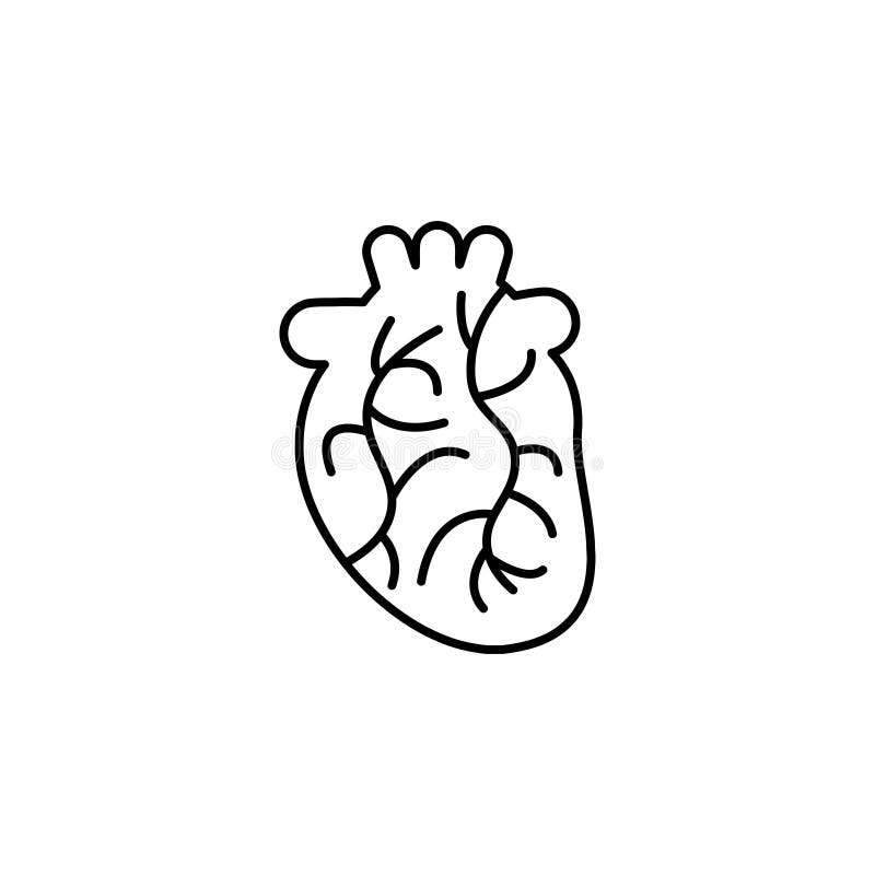 Heart, Man Heart, Human Heart Icon Stock Vector - Illustration of body ...
