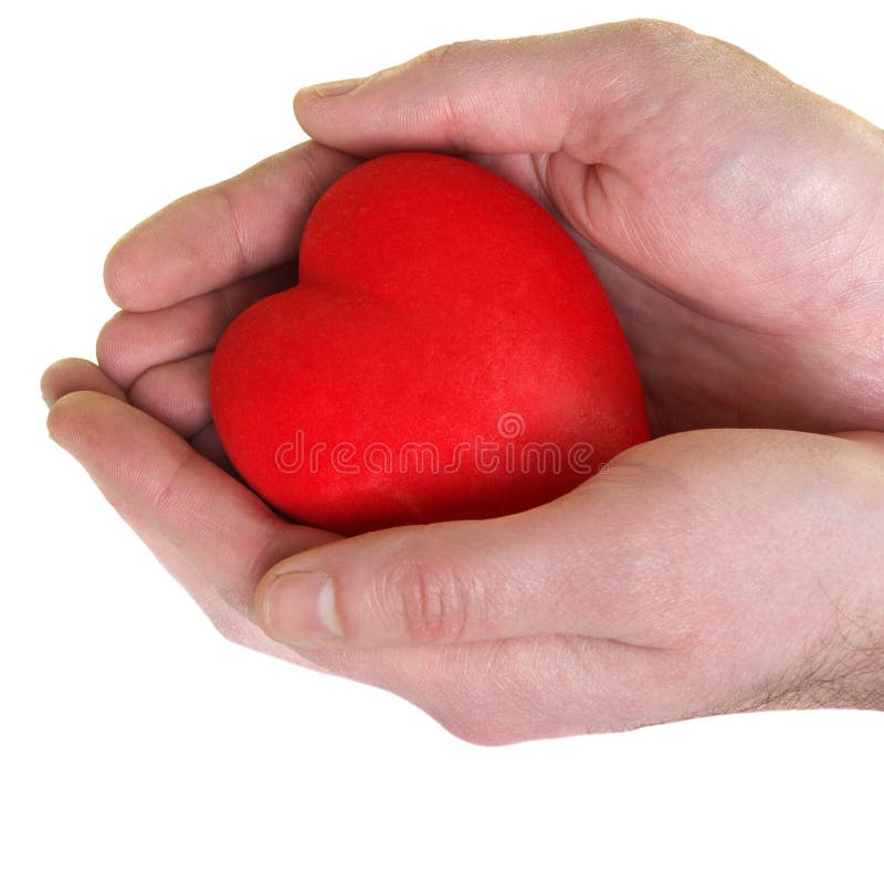 Heart in mans hands stock image. Image of people, medicine - 12996607